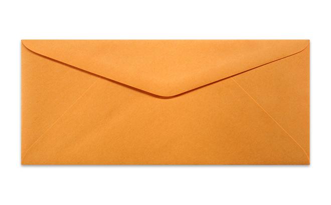 #12 Envelopes, 24lb. Brown | EnvelopeSuperstore®