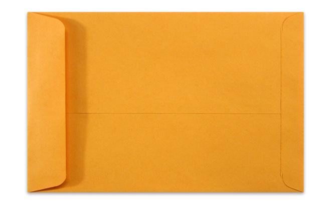 6 x 9 Catalog Envelopes, 24lb. Brown | EnvelopeSuperstore®
