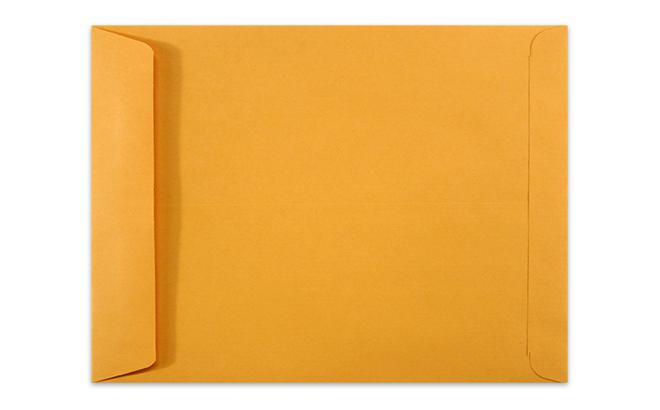 9 x 12 Catalog Envelopes, 24lb. Brown | EnvelopeSuperstore®