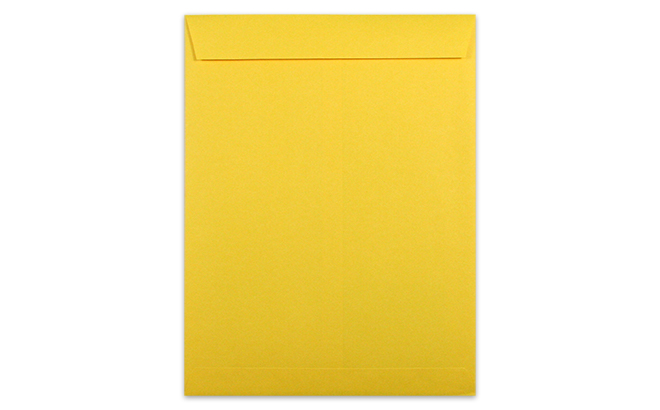 10 x 13 Catalog Envelopes, 28lb. Yellow Starburst | EnvelopeSuperstore®